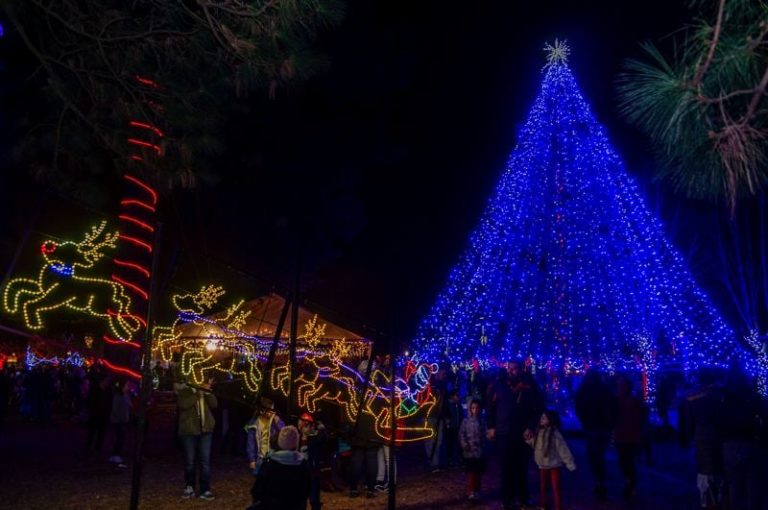 Beaverton Tree Lighting – Beaverton Community Band